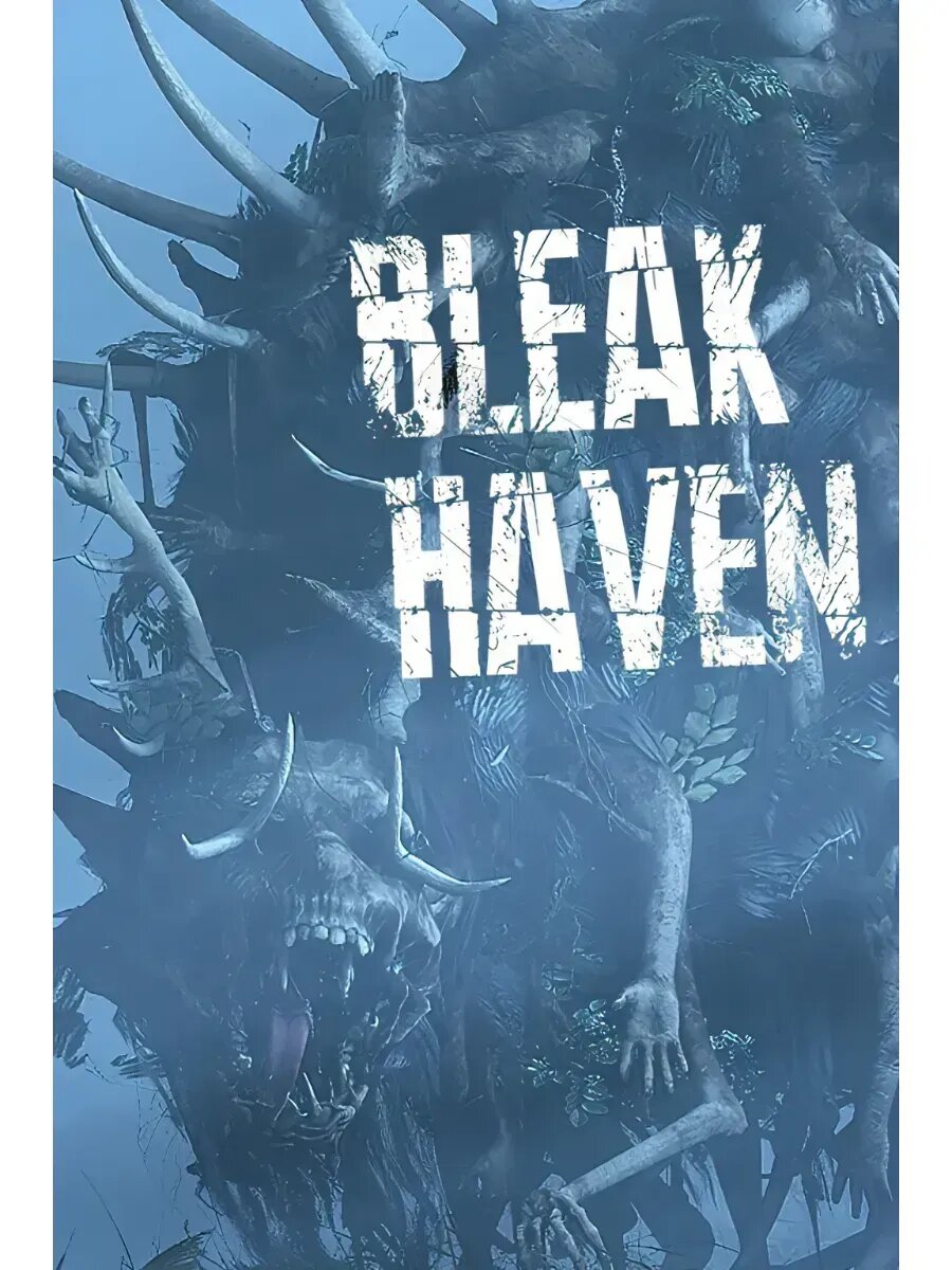 Bleak Haven, игра для ПК (на флешке USB)