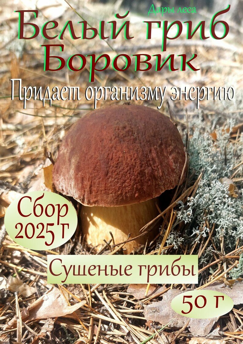 Белые грибы, сушеные. Боровики. 2025 г.