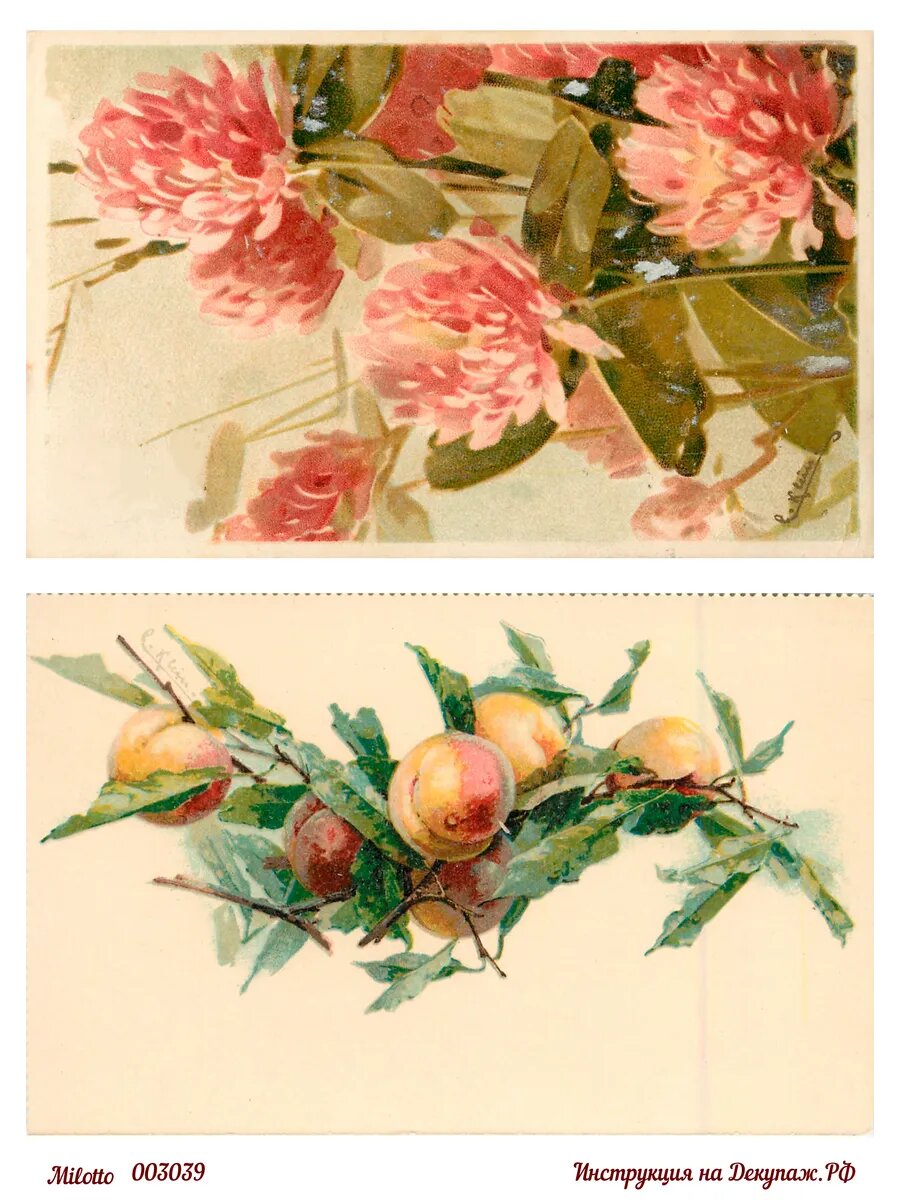 Декупажная карта рисовая бумага А4 цветы клевер персики