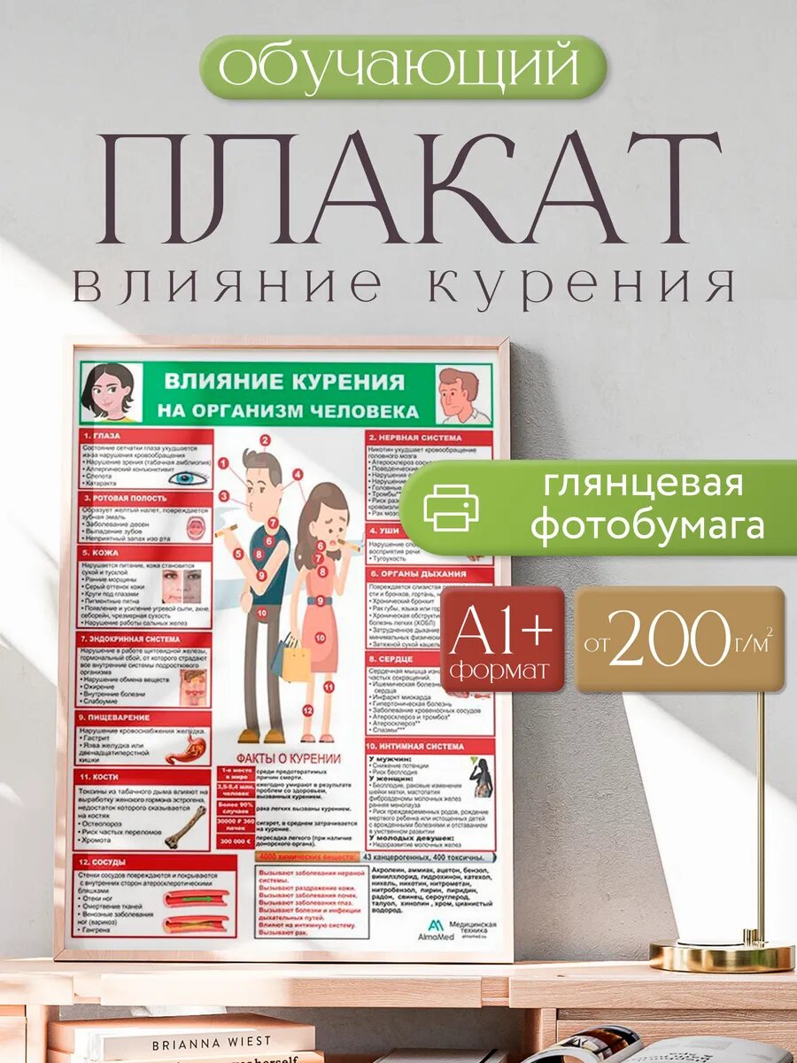 Влияние курения на организм человека, плакат, глянцевая фотобумага от 200 г/кв. м, размер A1+