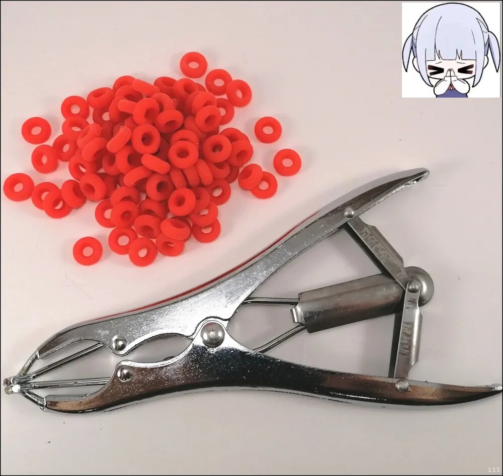 Бестселлер: щипцы с резинками для кастрации-333