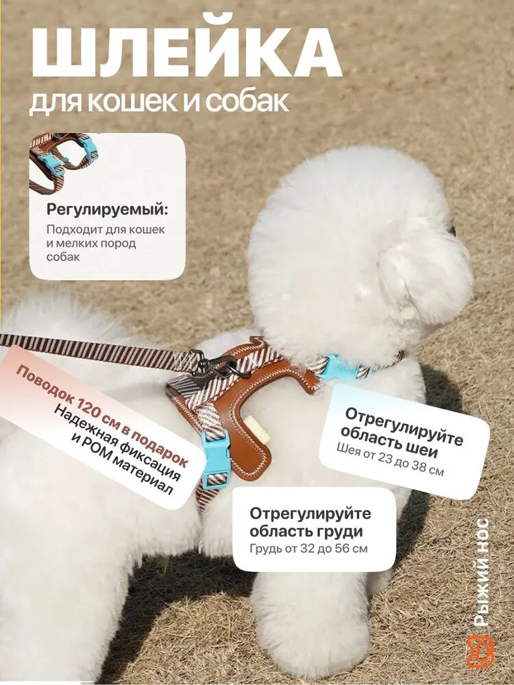 Шлейка для собак мелких пород и кошек, регулируемая, для прогулок, из искусственной кожи