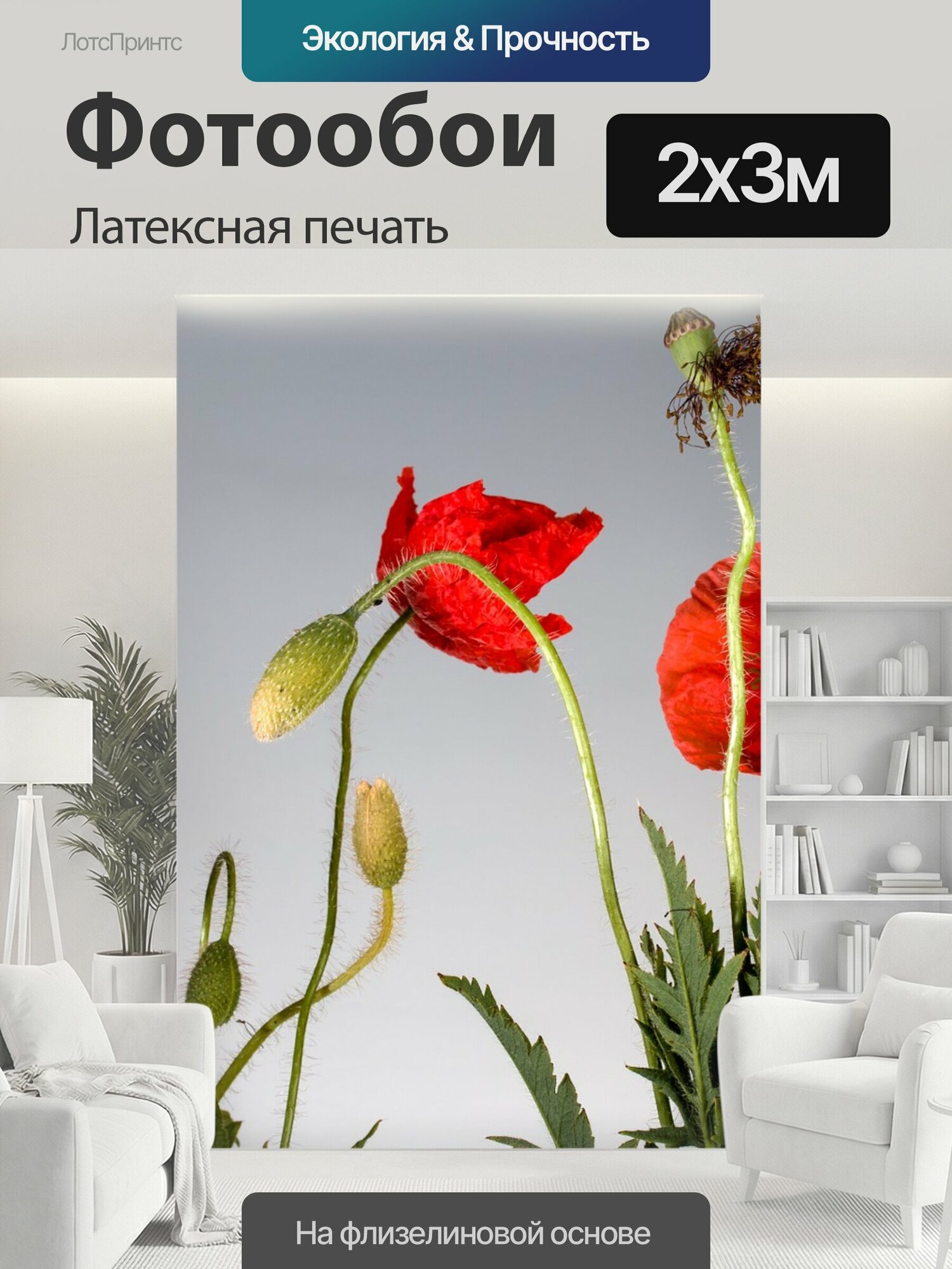 Фотообои моющиеся ударопрочные "Мак, маки, цветок мака" 200x300 см. латексная печать