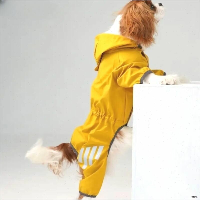 Стильный дождевиккомбинезон для малых и средних пород собак