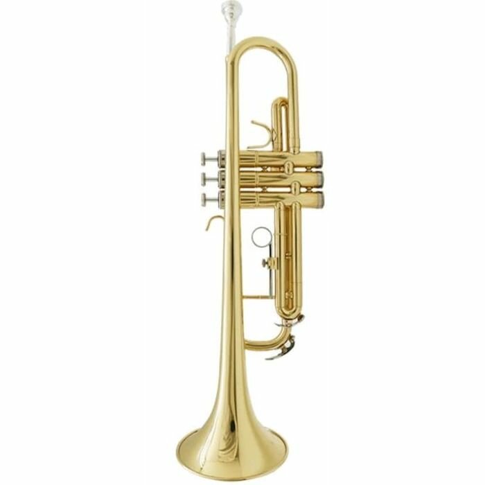 Pierre Cesar PC-TR-300L Труба