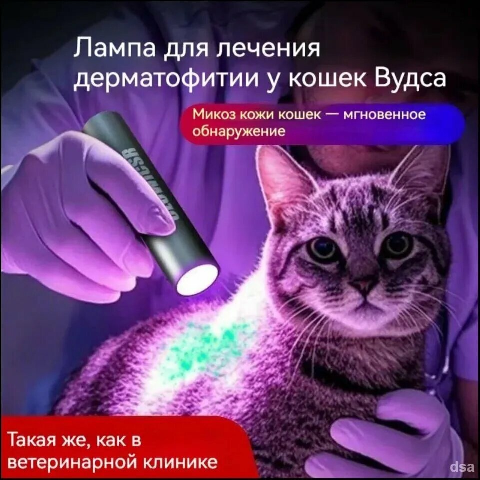 Лампа для диагностики лишая у кошек и собак
