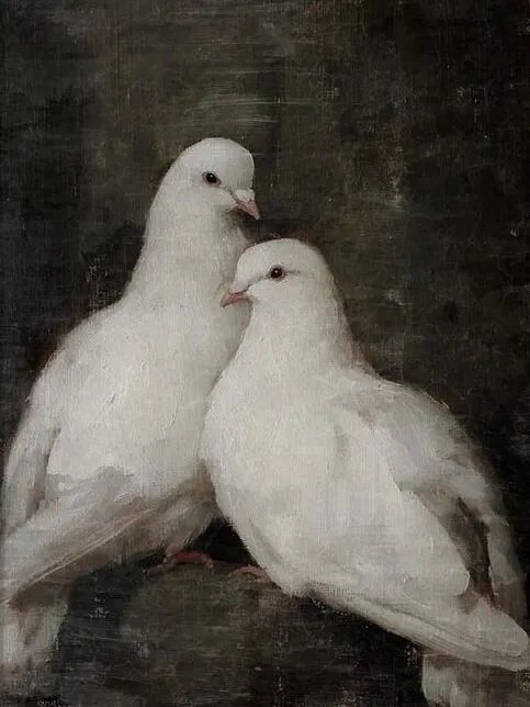 Алмазная Мозаика "Красивый Белый Голубь" 40х50 См Алмазная Вышивка / Картина Стразами Подарков / Украшения