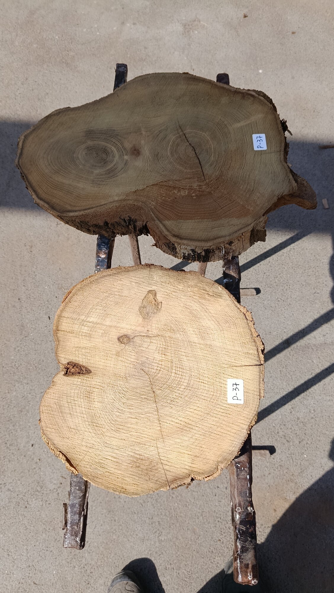 Спил из акации 42х31х3,5 см 27х29х3,5см(Р37) высушенный и не фрезерованный, не шлифованный