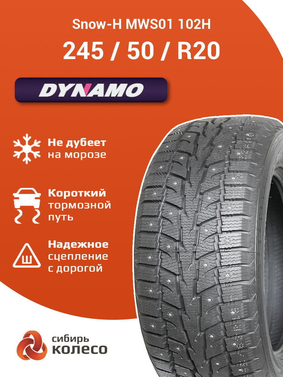 245/50R20 Sailun(Dynamo) Snow-H MWS01 102H шип