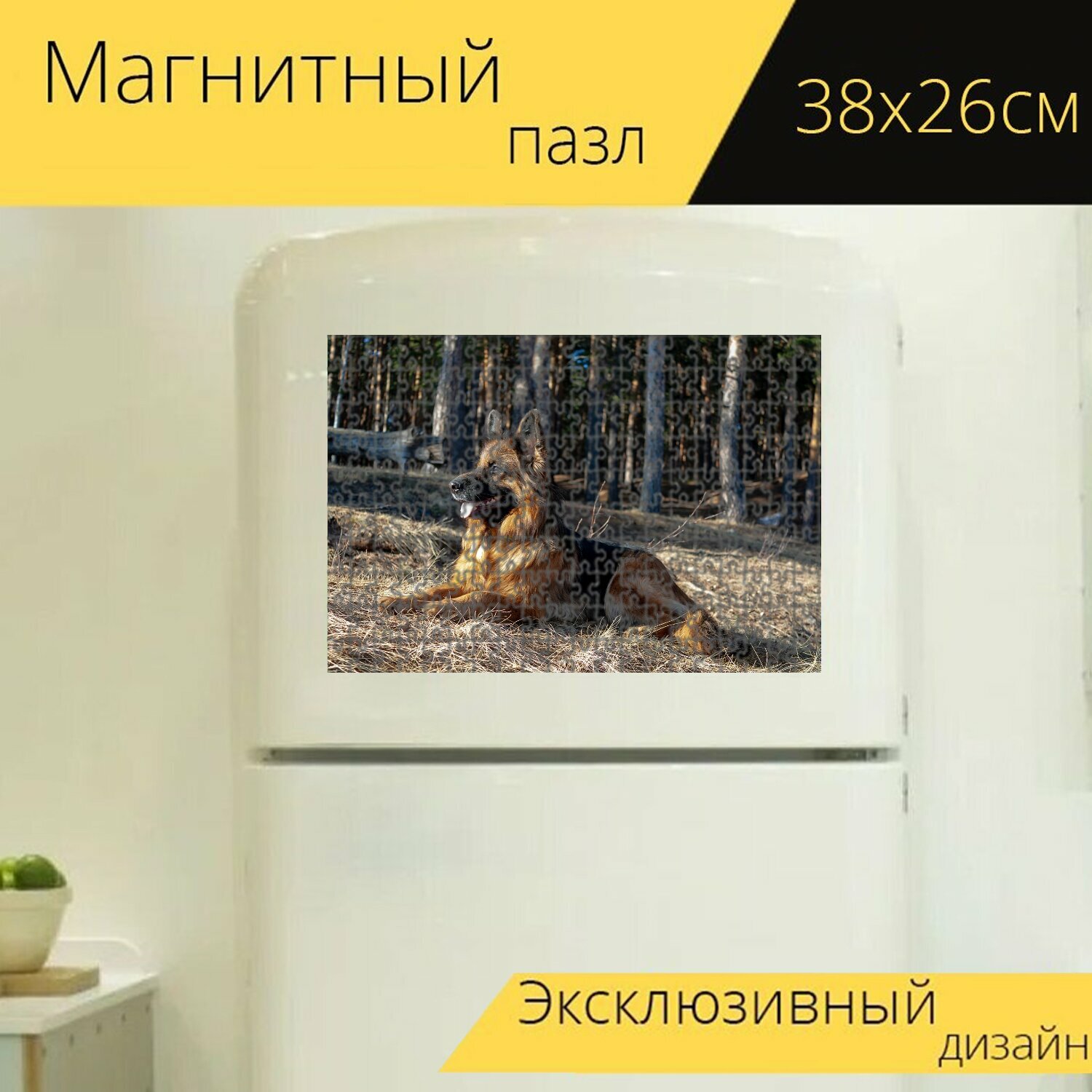 Магнитный пазл "Немецкая овчарка, собака, овчарка" для интерьера, 38х26 см.