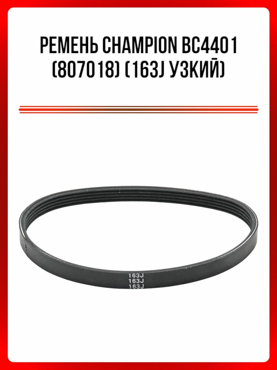 Ремень CHAMPION BC4401 (807018)