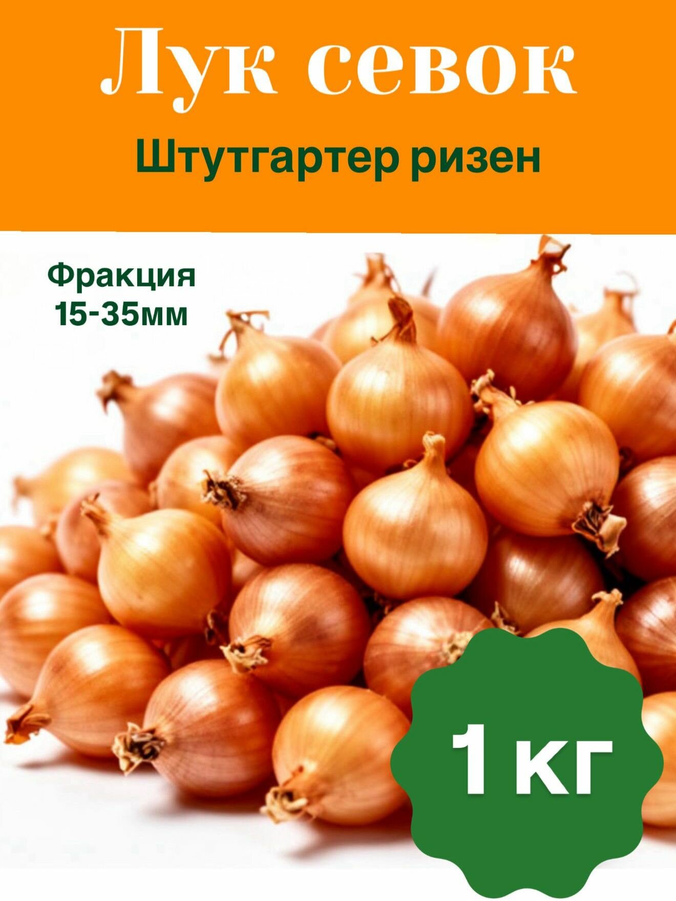 Лук севок для посадки Штутгартер ризен 1кг