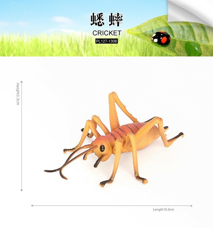 Пластиковая модель кузнечика, детская обучающая игрушка, арт. 1308, 3D фигурка насекомого