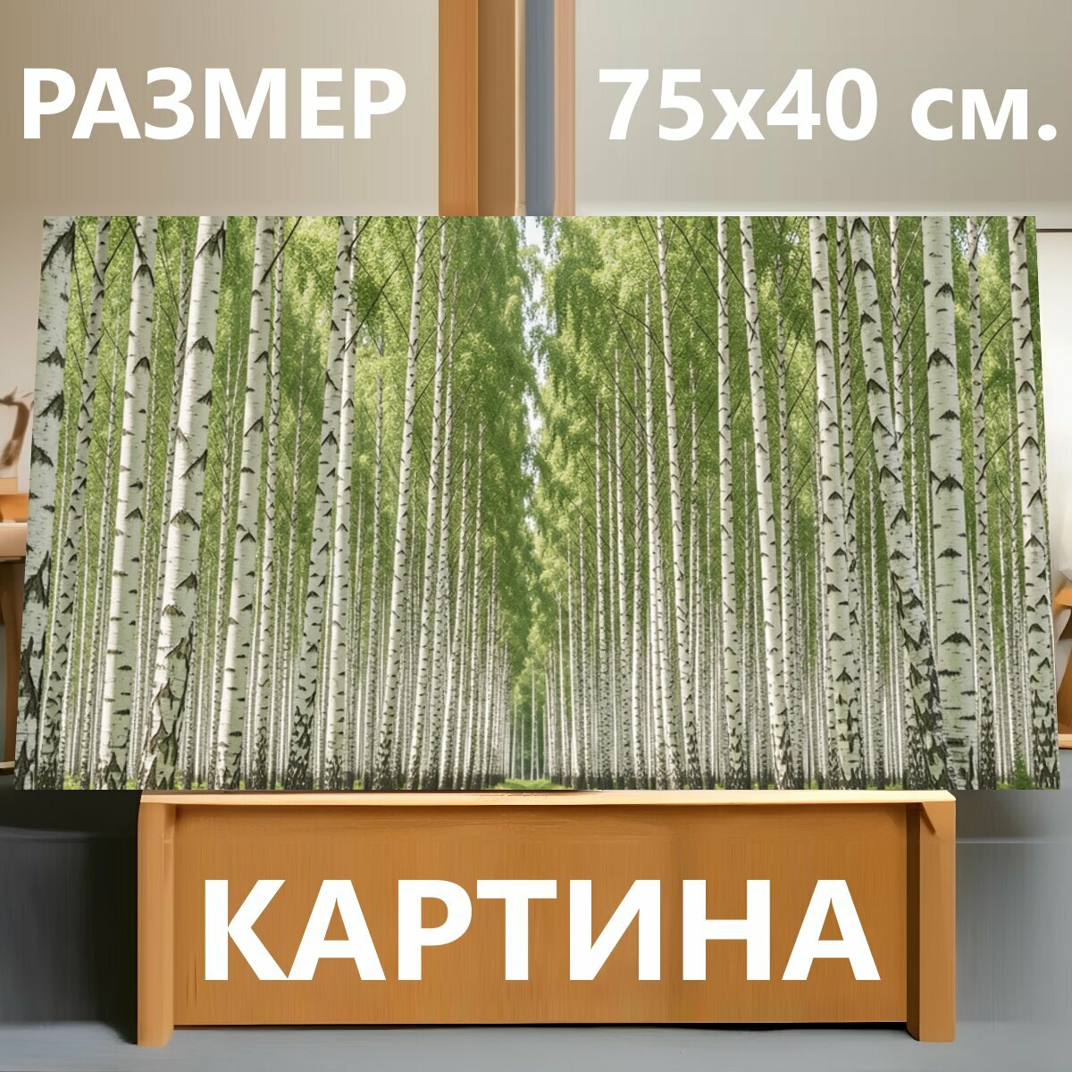 Картина на холсте "Березовая аллея в летнем лесу. Светлая роща с высокими стволами берез и густой зеленью, уходящая в перспективу. Природный." на подрамнике 75х40 см. для интерьера