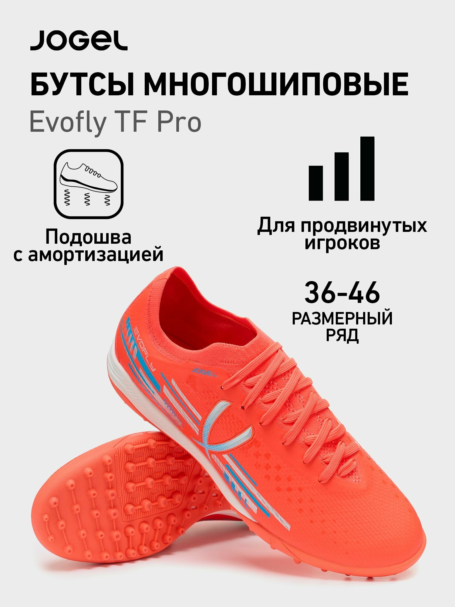 Сороконожки