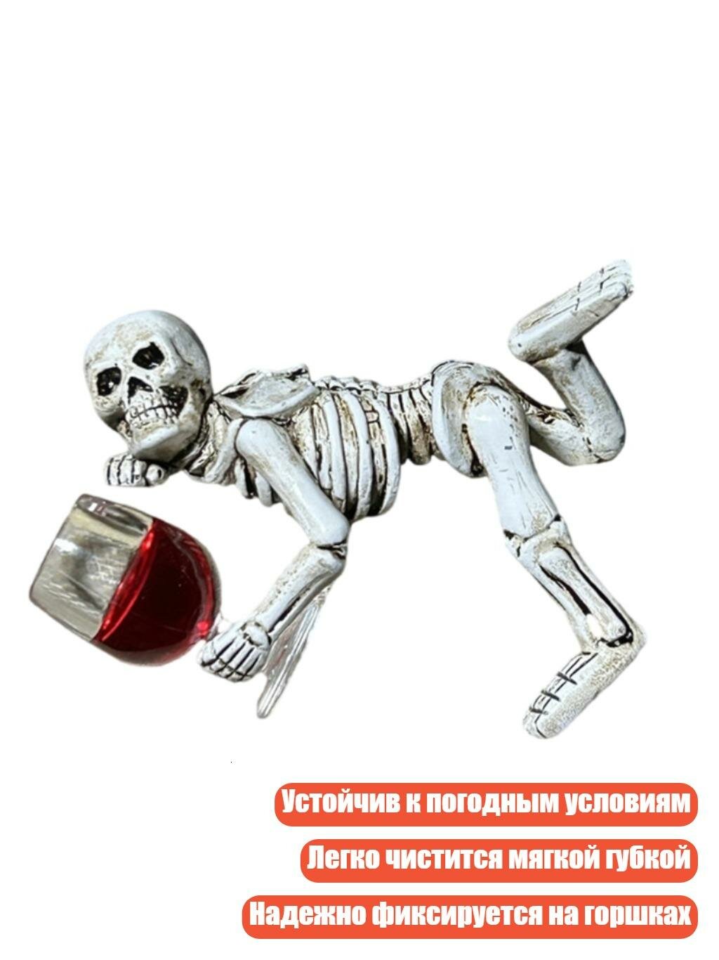 Горшок-череп для сада, 9