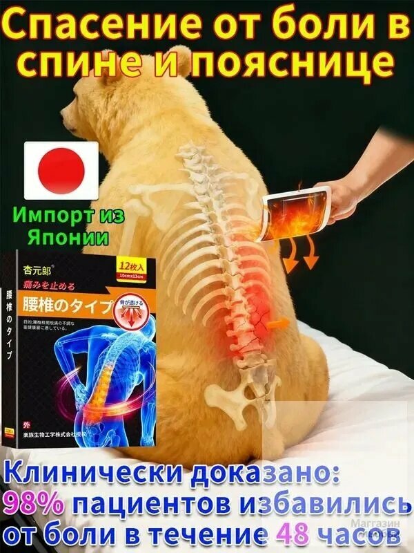 Пластырь с лидокаином обезболивающий от боли в пояснице и спине12 шт