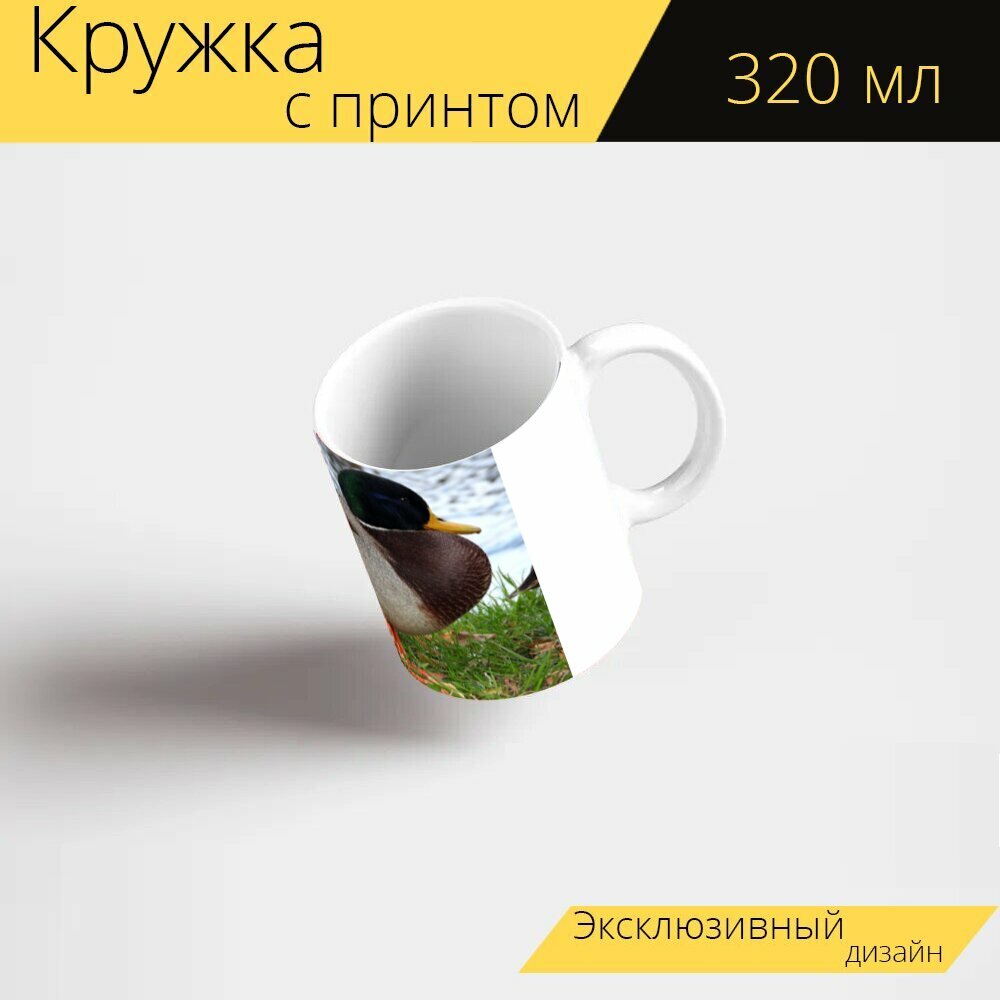 Кружка с рисунком, принтом "Утка, дикая утка, французская" 320 мл.