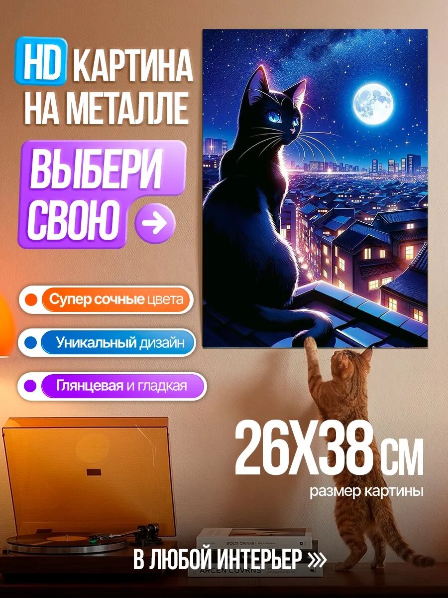 Картина на HD металле Черная кошка на крыше