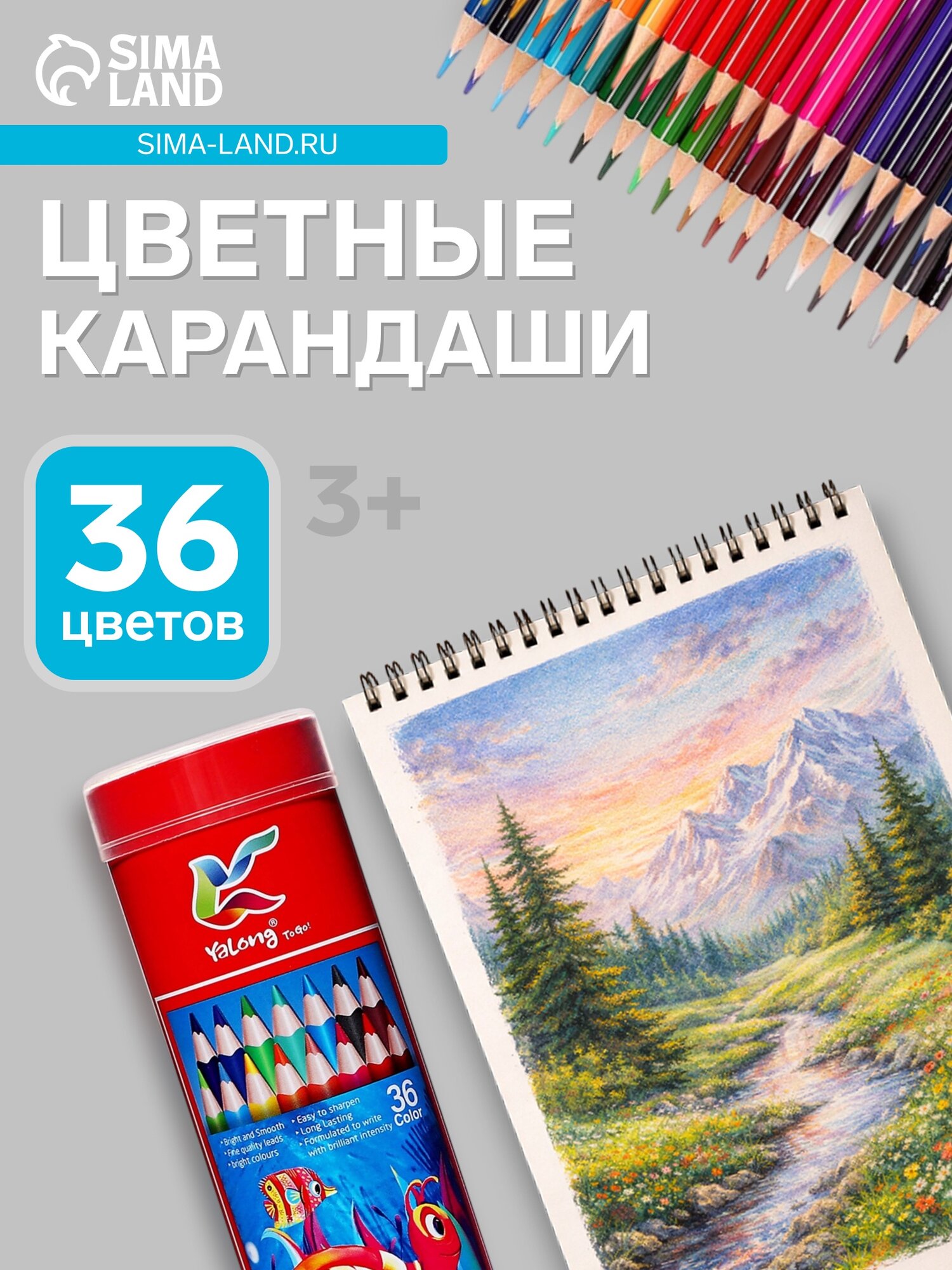 Карандаши 36 цветов, трехгранные, деревянные «Морские обитатели», в металлическом тубусе
