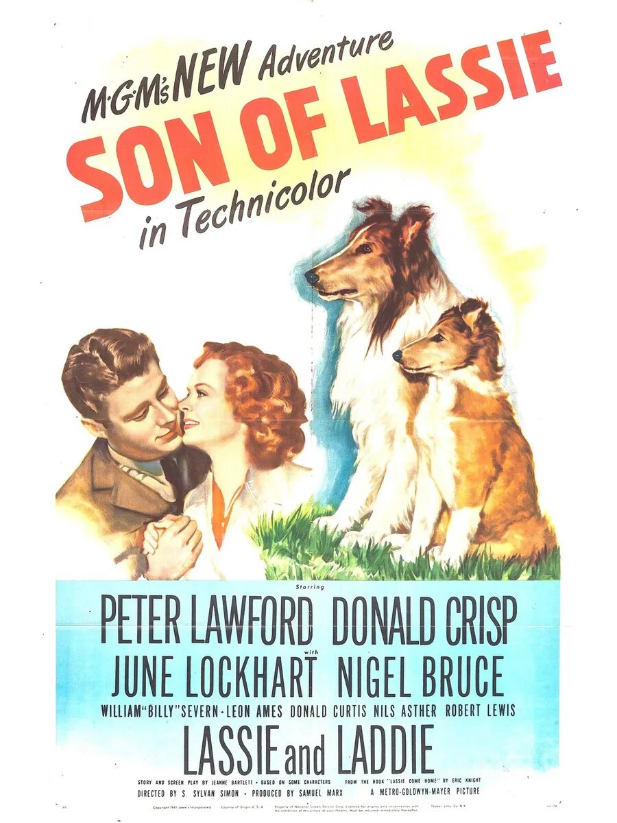 Сын Лесси (1945) (DVD-R)