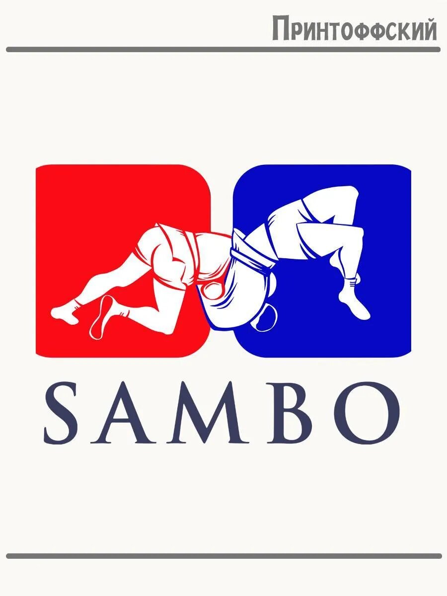 Термонаклейка для одежды и аксессуаров DTF-печать Sambo Самбо
