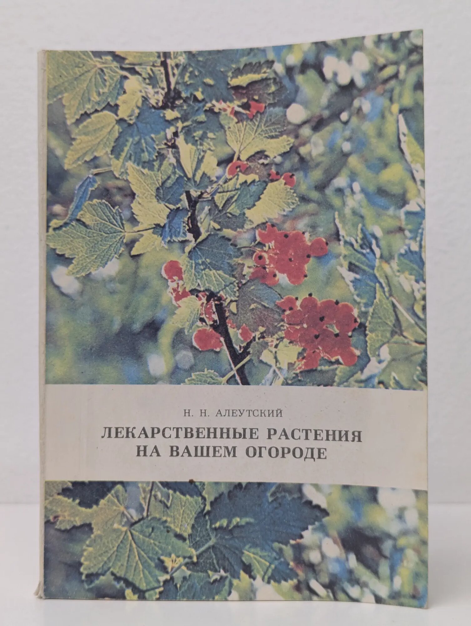Лекарственные растения на вашем огороде Алеутский Николай Николаевич 1990