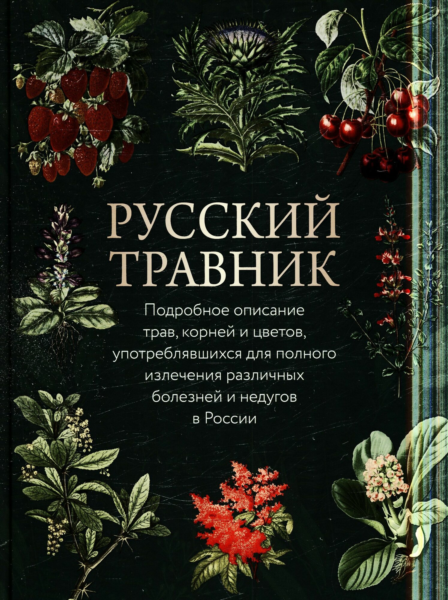 Коллекция Русский травник (Горецкий В.), (Просвещение-Союз, Олма, 2023), 7Б, c.208