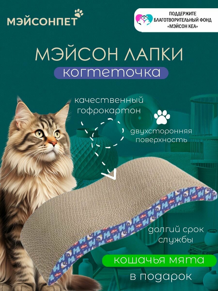 Когтеточка