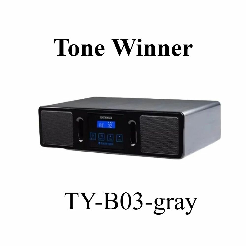 Tone Winner TY-B03 Многофункциональный Bluetooth-динамик Домашний Сабвуфер Портативная наружная небольшая звуковая система 100 В 240 В