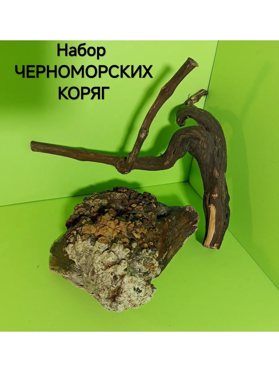 Коряги Черноморские для террариума, аквариума