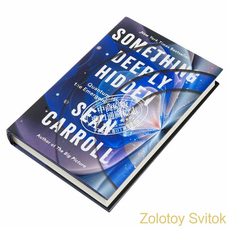 Книга "Something Deeply Hidden" Sean Carroll, графический роман — фото 1