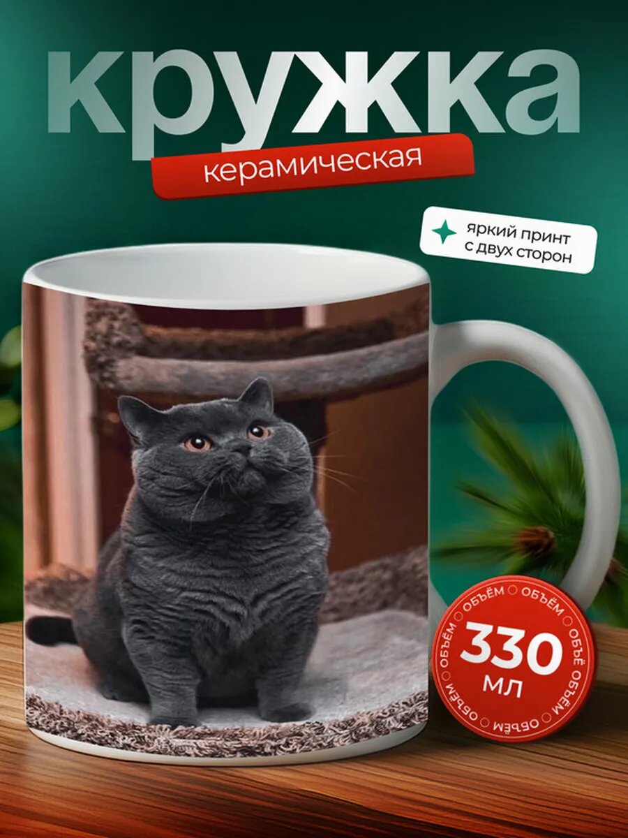 Кружка Британский серебристый кот 38,