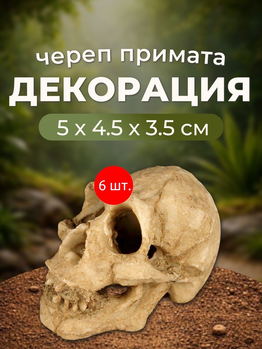 Декорация 6 шт. Nomoy Pet "Череп примата" 5*4.5х3.5 см. Номой Пет