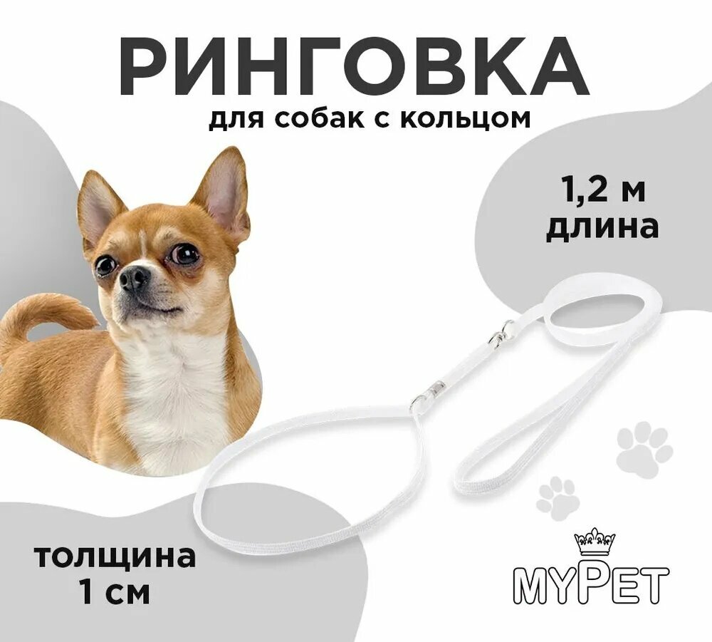 MyPet Ринговка для выставки и груминга / поводок удавка для собак с кольцом / ошейник для прогулки, белый