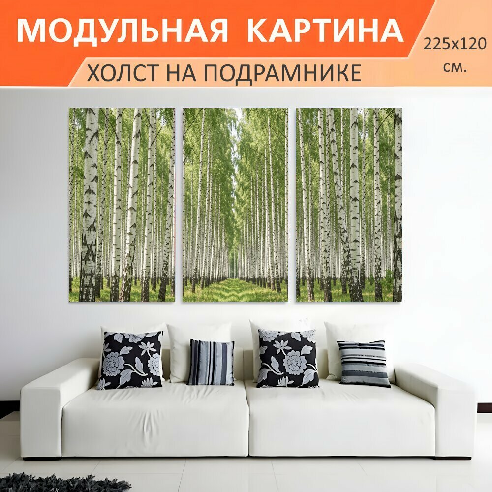 Модульная картина на холсте "Березовая аллея в летнем лесу. Светлая роща с высокими стволами берез и густой зеленью, уходящая в." триптих на подрамнике 225х120 см. для интерьера