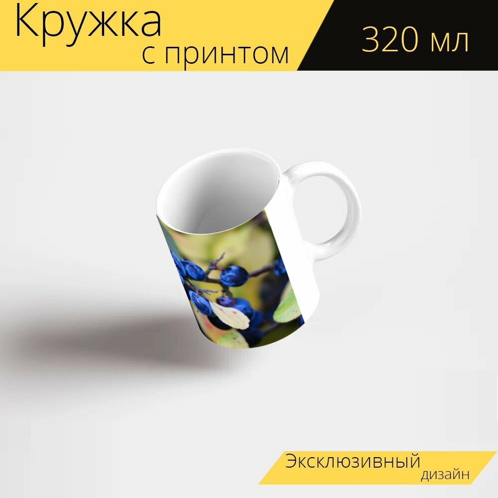 Кружка с рисунком, принтом "Ягоды, терн, prunus spinosa" 320 мл.