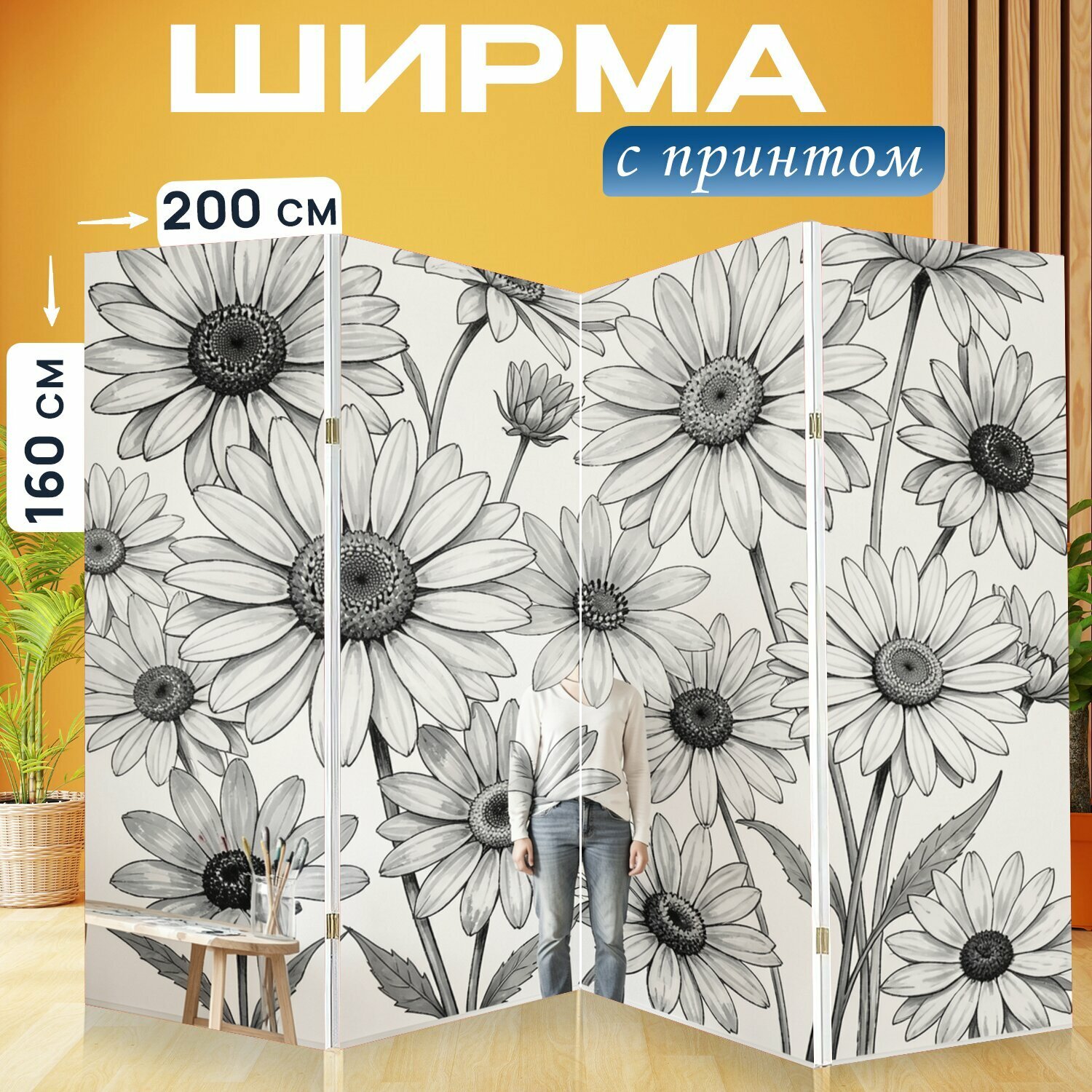 Ширма "Полевые ромашки в интерьере. Черно-белая ботаническая композиция с крупными цветами и тонкими." перегородка для зонирования комнаты с принтом 200x160 см. на холсте