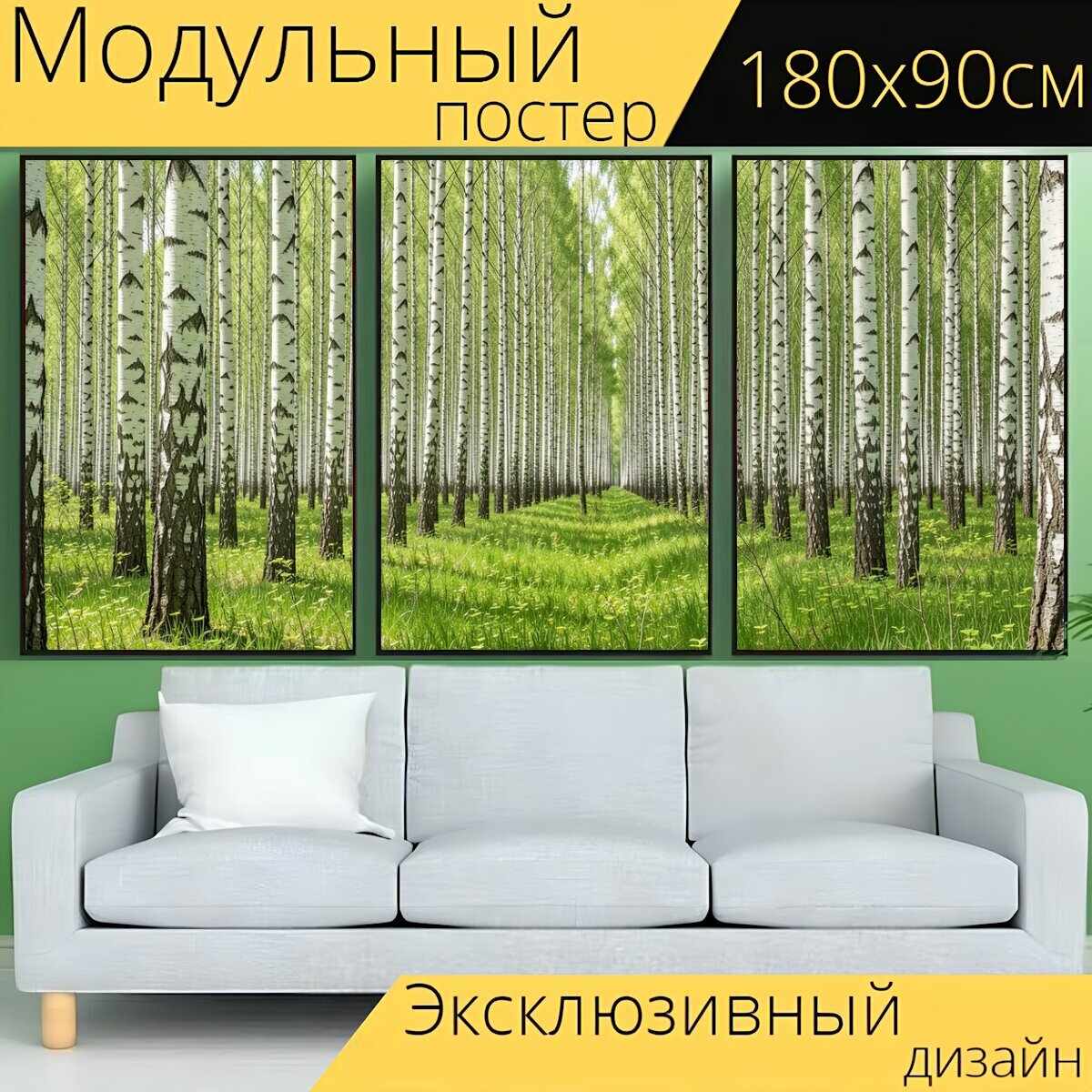 Модульный постер "Березовая роща с зеленой поляной. Светлый лесной пейзаж с высокими белоствольными деревьями, молодой травой и." 180 x 90 см. для интерьера на стену в тубусе