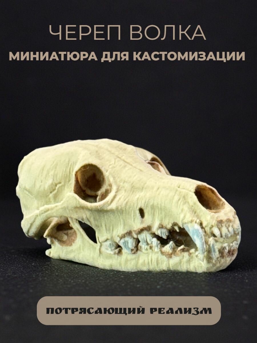 Череп волка миниатюра для декора, настольных игр, тематических предметов, фентези-атрибутов, диорам и инсталяций.