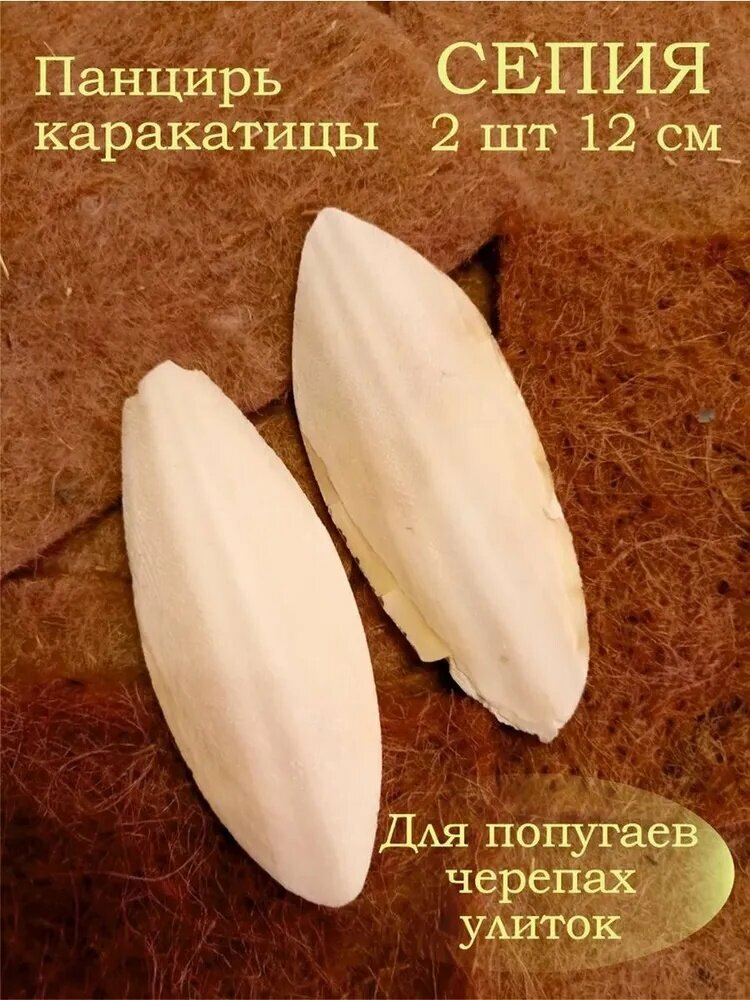 Сепия 12 см 2 штуки, панцирь каракатицы для улиток, черепах, попугаев, рептилий, корм для птиц