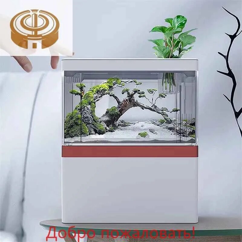 Аквариум для Петушка с фильтром и подсветкой настольный мини