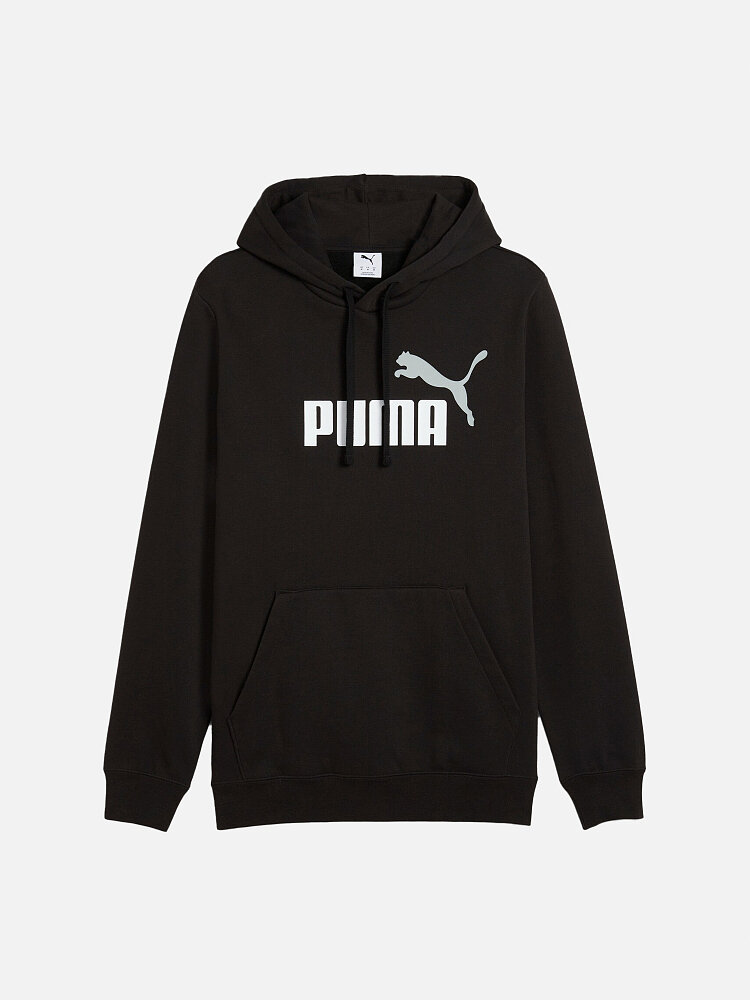 Худи Essentials 2 Color Logo Hoodie