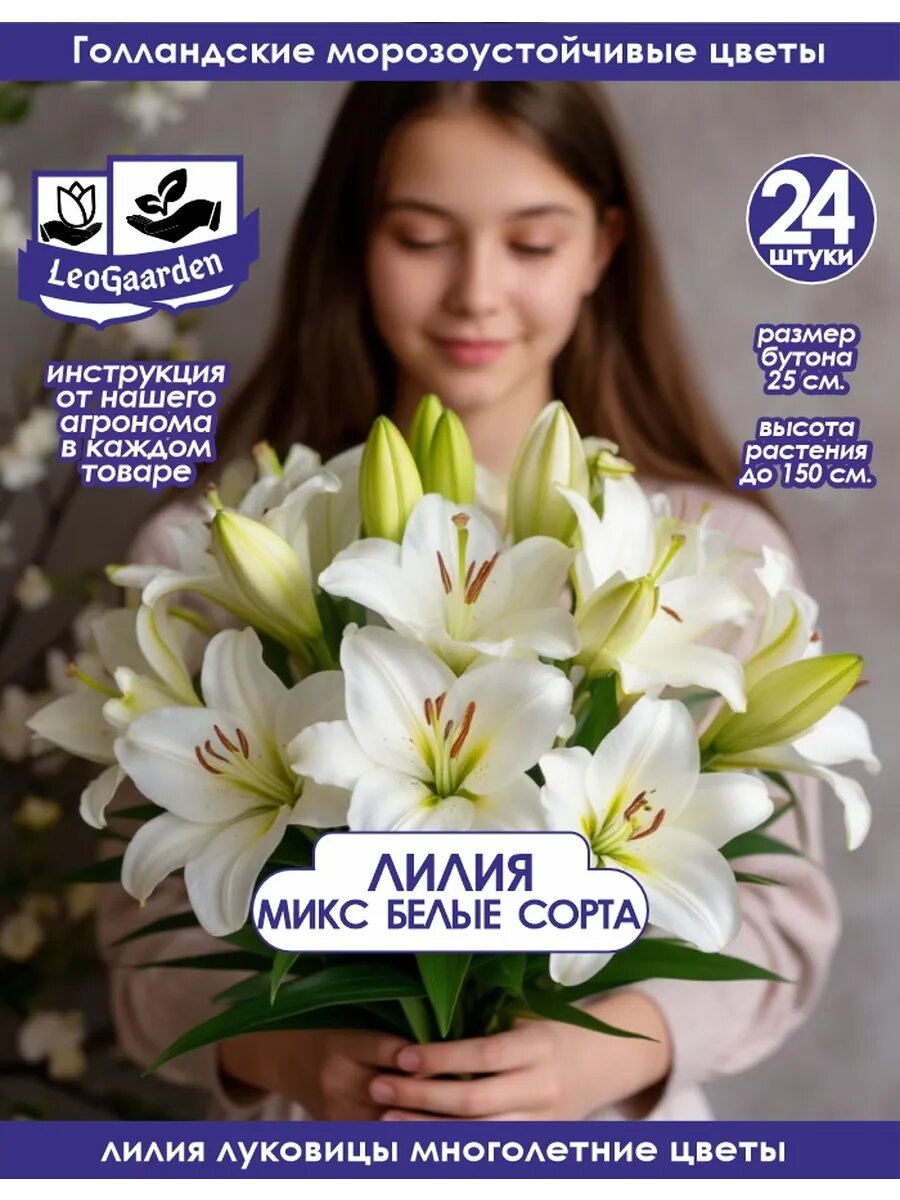 Лилия Луковица, Микс белых сортов 24шт