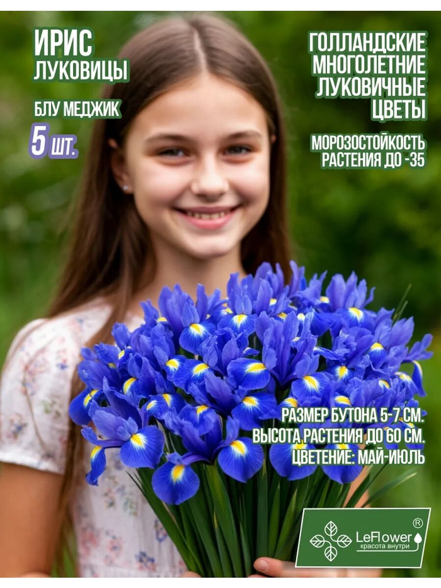 Ирис луковицы цветов многолетние 5шт, Блю меджик