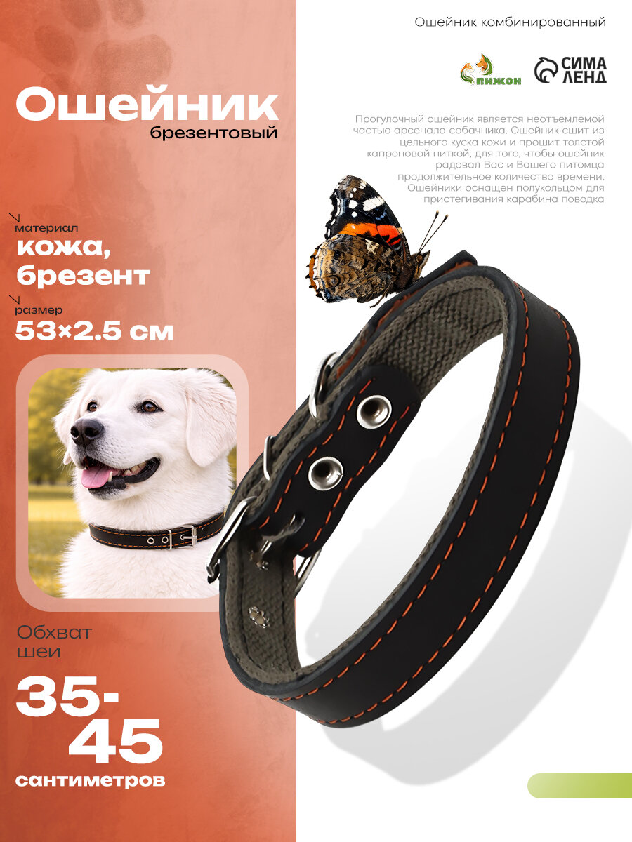 Ошейник комбинированный кожа/брезент, 53 х 2.5 см, ОШ 35-45 см, чёрный