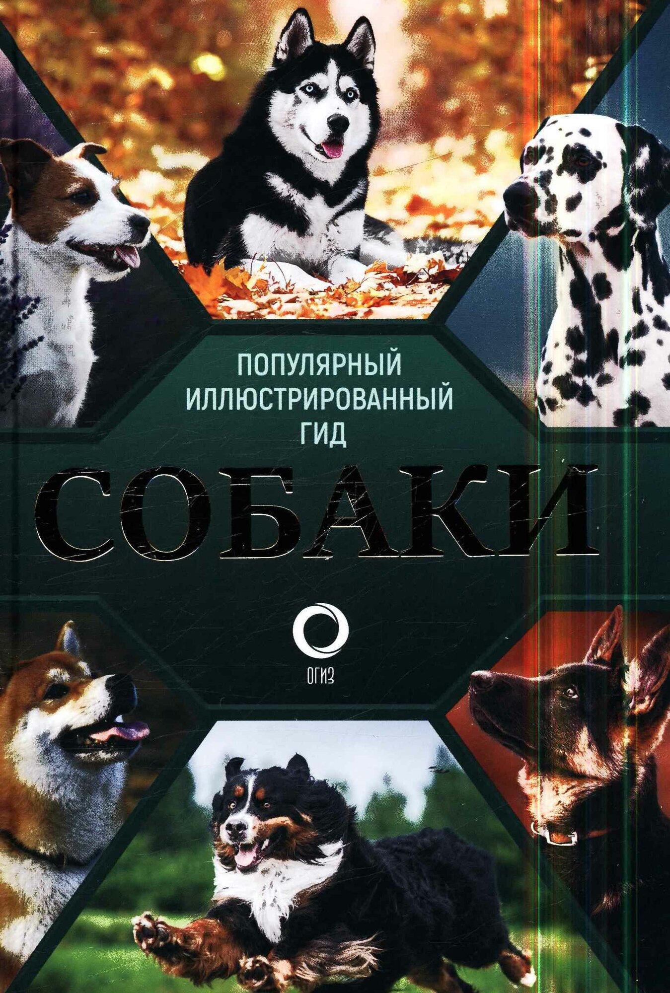 Собаки. Популярный иллюстрированный гид (Барановская И. Г, Вайткене Л. Д, Хомич Е. О.)