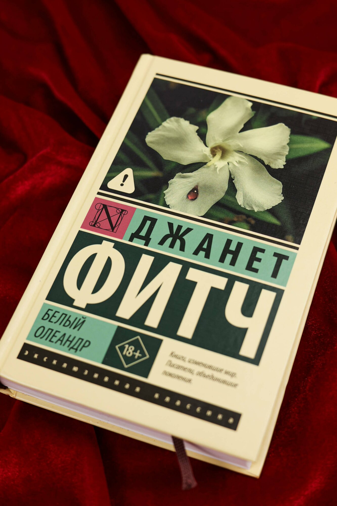 Белый олеандр — фото 1