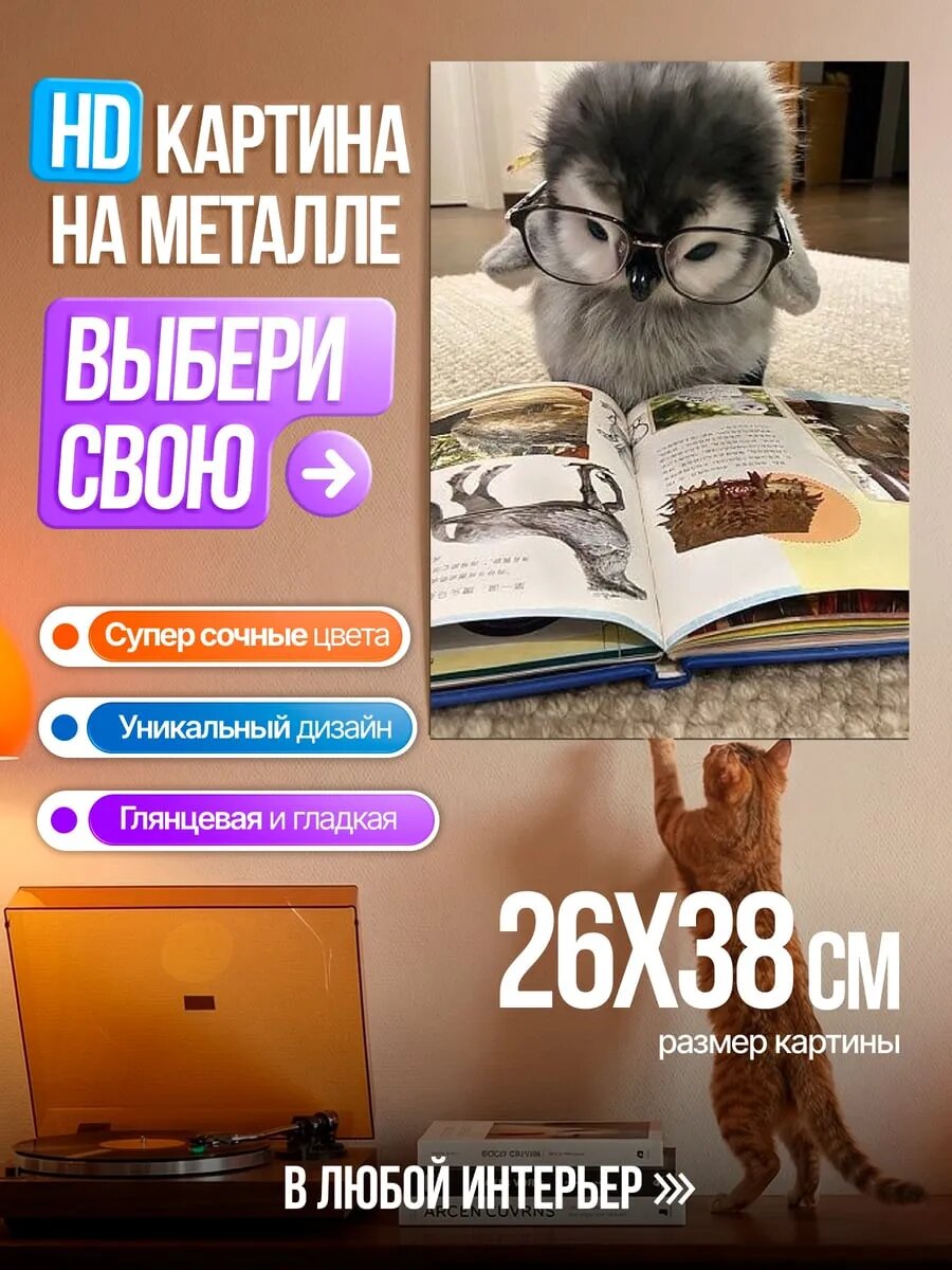 Картина на HD металле Сова в очках читает