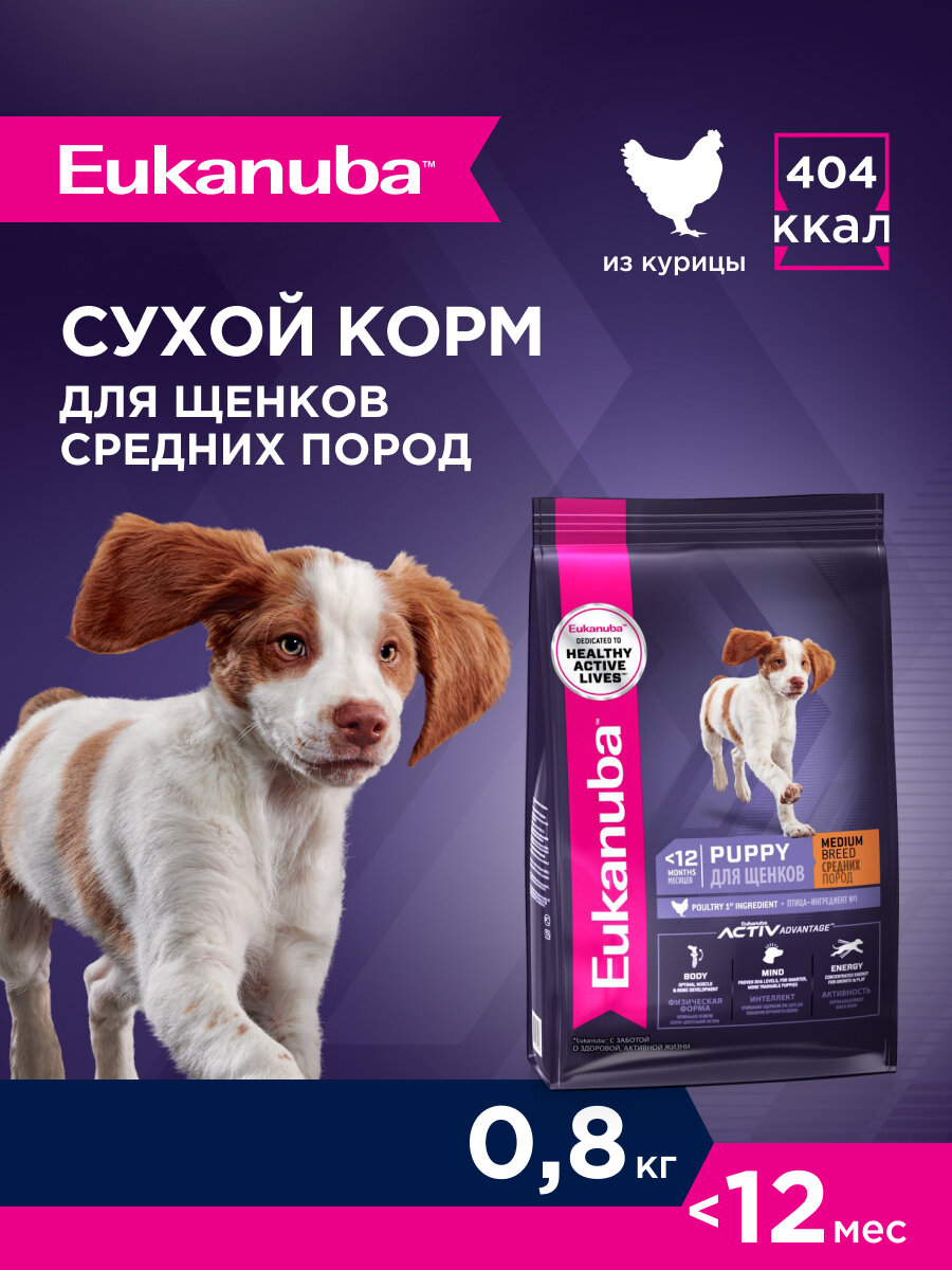 Сухой корм для щенков Eukanuba Puppy Medium Breed для средних пород , 800 г